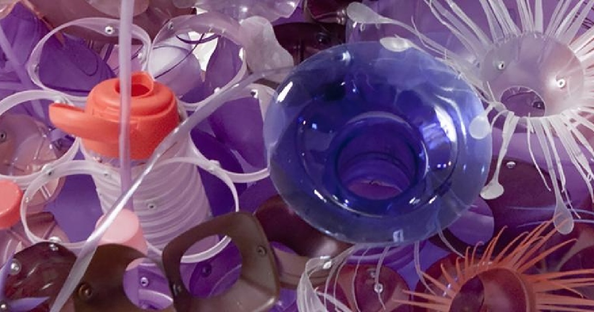 plastic entanglements: ecology, aesthetics, materials | Nara Roesler